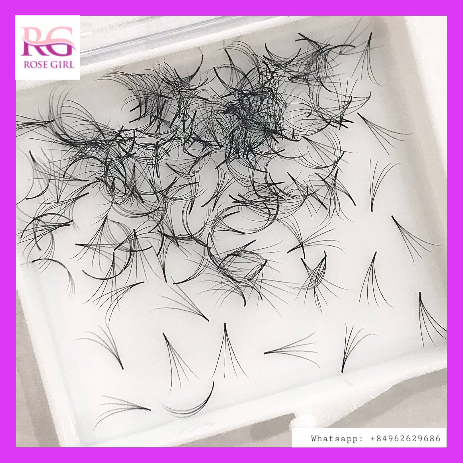 PRE-MADE LASHES - 4D BLACK (1000 FAN/BOX) - Rose Girl